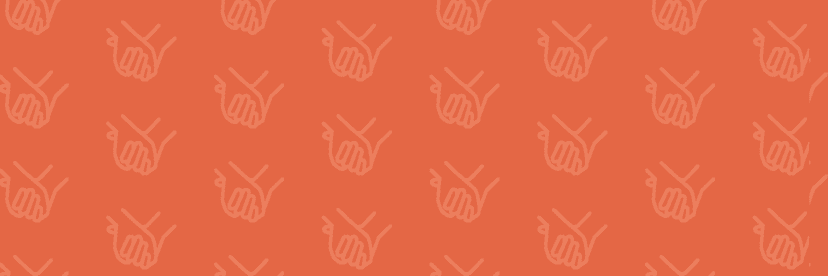 How to Prepare For Immigration Raids | Informed Immigrant